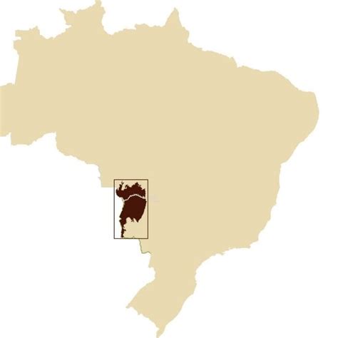 Mapa Da Localização Do Pantanal No Brasil Download Scientific Diagram