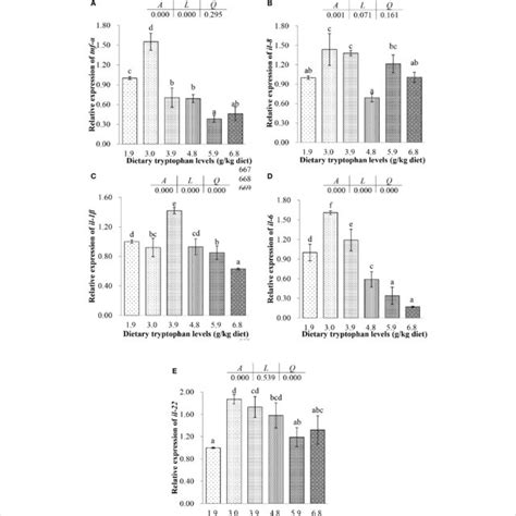 Effects Of Dietary Tryptophan With Different Levels On The Relative Download Scientific Diagram