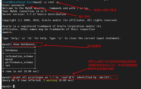 Lamp架构与网站搭建实例lamp网站 Csdn博客