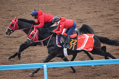 「極ウマpog捜査官」ニッカン全力2歳馬追跡 On Twitter 【👶深山厩舎の併せ馬】水曜朝の スッピン（牝、父ファインニードル