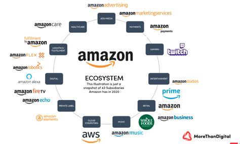Ecosystem Diagram Examples