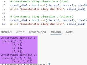 Pytorch S Torch Cat Function