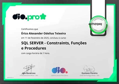 Sql Server Constraints Funções E Procedures Erico Teixeira