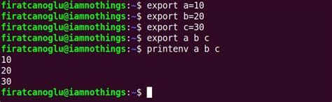 Örneklerle Linuxta Export Komutu Nasıl Kullanılır Linux Data Linux
