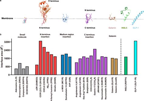 Comparison Of Ligand Binding Modes A Conformations Of Different Ligands