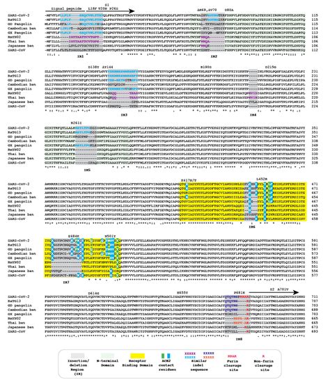 Spike Protein Sequences Of Cambodian Thai And Japanese Bat Sarbecoviruses Provide Insights Into