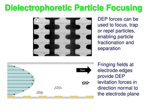 Ppt Flow Cytometry Powerpoint Presentation Free Download Id 5454898
