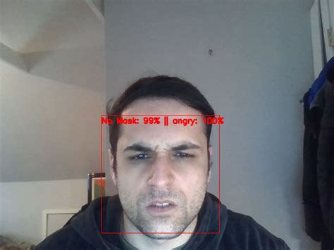 Object Detection Stopping Karens Before They Can Strike Using Keras
