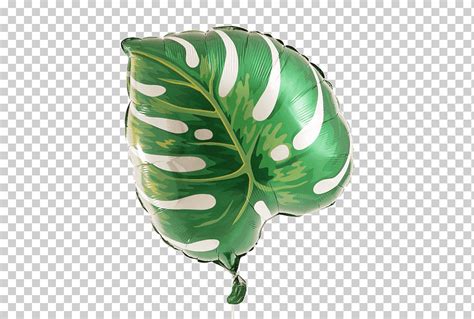 파티 배경 리본 풍선 잎 꽃 꽃다발 열대 원숭이 열대 사이클론 미터 Png Klipartz