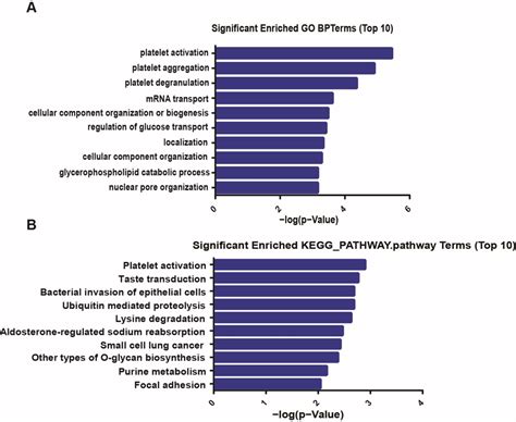 Functional Annotations For The Host Genes Of Differentially Expressed
