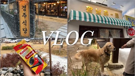 Vlog 09 경주 당일치기 브이로그뚜벅이 브이로그황리단길경주식당 도깨비 명당 소품샵 시즈닝 Youtube