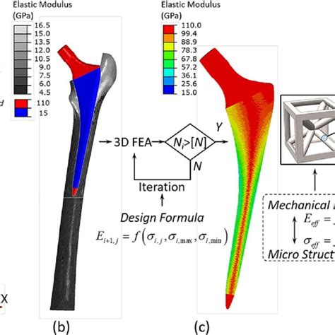 Multi Scale Design Framework Of Gradient Porous Implant A Download Scientific Diagram