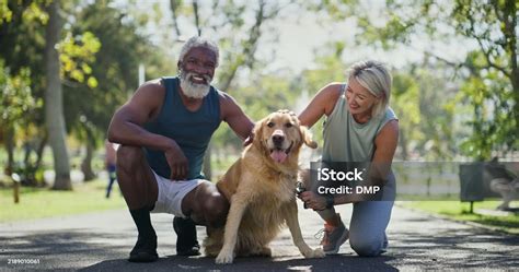 공원 커플 산책 또는 유대감 지원 및 보살핌으로 피트니스를 위해 개와 함께 행복합니다 야외 성숙한 사람들과 미소 짓는 애완