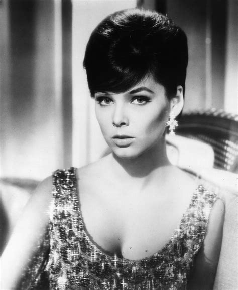 Craig Yvonne The American Pin Up Craig Yvonne The American Pin Up