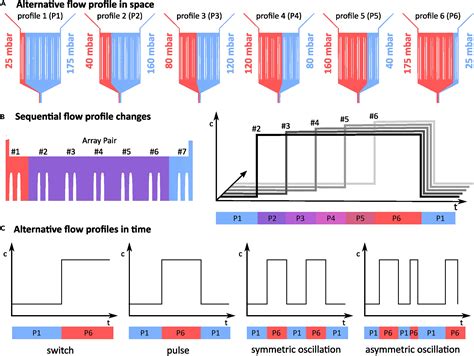 Cell Press Star Protocols