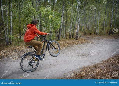В осеннем лесу яркий солнечный мальчик катается на велосипеде Стоковое Изображение изображение