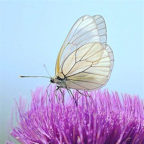 Pictures G On Twitter