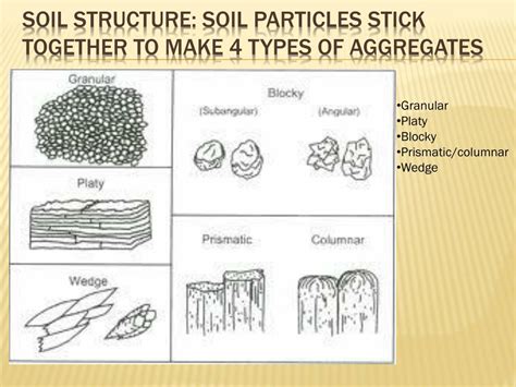 Ppt Soils Soil And Water Relationships Powerpoint Presentation Id