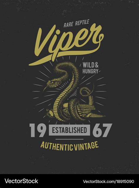 Viper Snake Serpent Cobra And Python Anaconda Vector Image