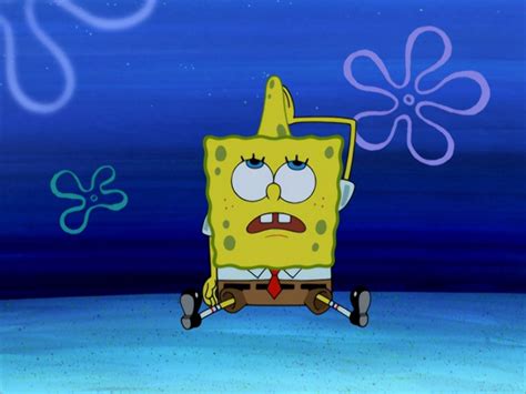 Spongebob Shiny Head At Eva Gloucester Blog