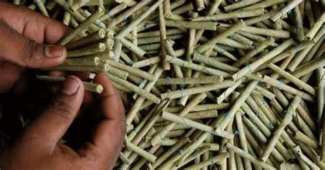 जानिए सिगरेट बीड़ी वाली बीड़ी को इंग्लिश में क्या कहते हैं और इनको कैसे बनाया जाता है