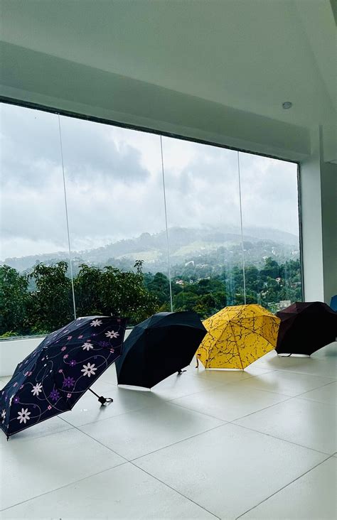 Achala Meddegama On Linkedin The Rainy Season Has Begun Again In Kandy Sri Lanka At Enactor