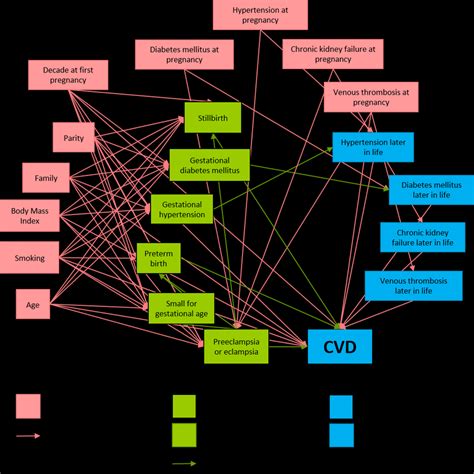 figure s1 directed acyclic graph dag cvd cardiovascular disease download scientific diagram