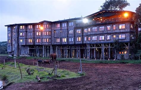 Rigathi Gachagua Buys The Iconic Treetops Hotel And Names His Son As The Manager Pesa Ni Tamu