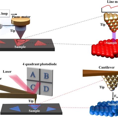 Schematic Diagram Illustrating The Typical Setup Of A Scanning Download Scientific Diagram