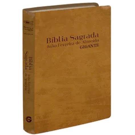 Bíblia Sagrada Rc Lgig Semi Luxo Caramelo Recomendado