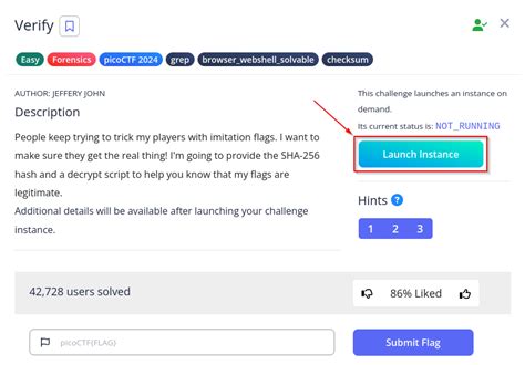 Verify Writeup Pico Ctf Challenge Solved Forensics