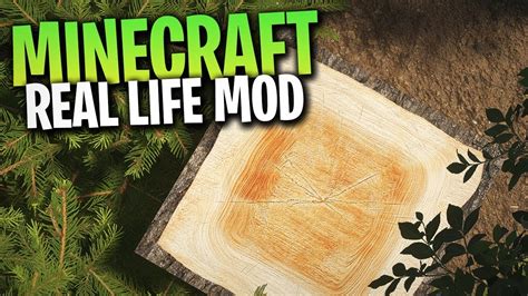 Real Life Mod In Minecraft 😱 Raytracing And 2k Texturen Youtube