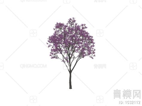 紫花风铃木 开花树3D模型 现代VR无灯光有贴图MAX2016紫花风铃木 开花树3d模型下载 ID1532112 免费3Dmax模型库