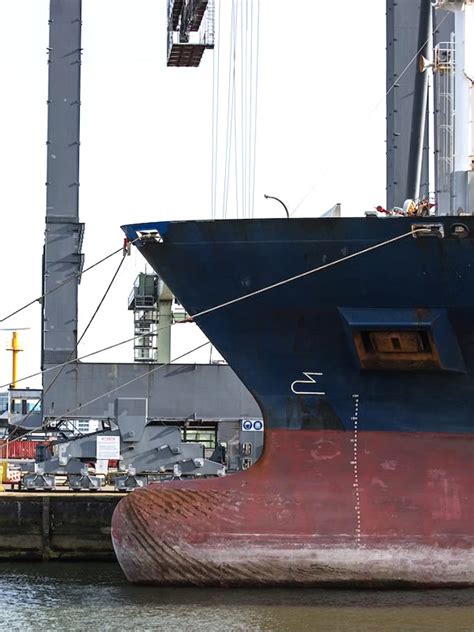 Survey And Statutory Certification