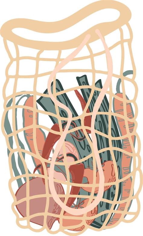 Lymph Node Vector Art Icons And Graphics For Free Download