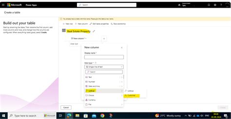 Data Type Customer Lookup Customer Microsoft Qanda