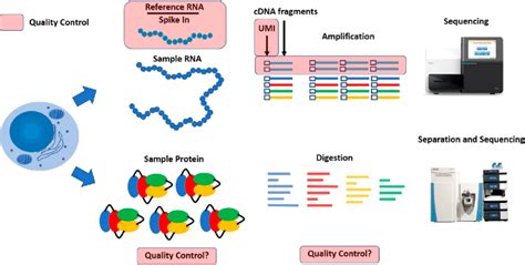 Comparison Of Quality Controls Between Single Cell Rna Sequencing And Download Scientific