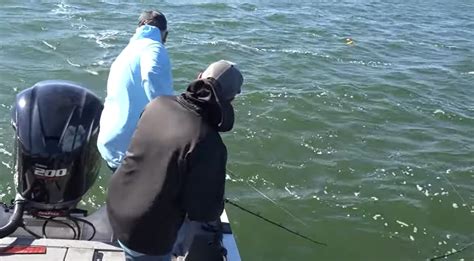 Basin Trolling Walleyes Explore Alexandria Minnesota