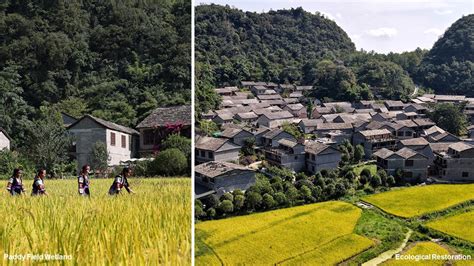 扎根贵州布依族传统村落，清华大学这个研究项目获国际大奖！