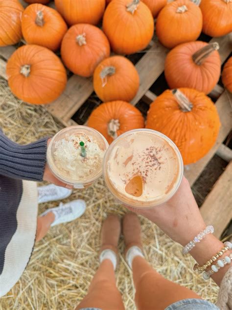 Fall Pumpkin Patch Aesthetic Preppy Autumn Aesthetic Fall Pumpkin