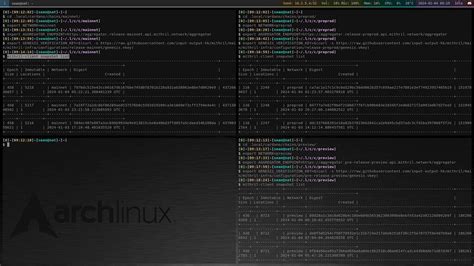 Setting Up Cardano Node With Mithril Client On Preview Preprod And