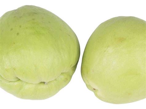 Is Chayote Poisonous