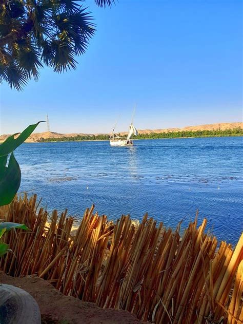 Movieandfunny افلام رومانسية للكبار 🔞 The Housemaid 🔥 Facebook