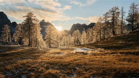 Light Nature Wallpapers 4k Hd Backgrounds On Wallpaperbat