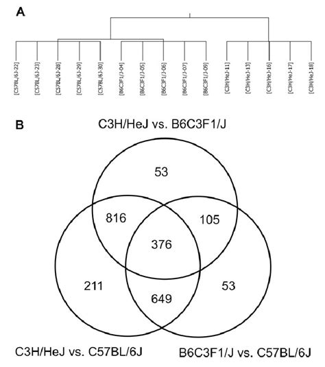Overview Of Microarray Results A Self Organizing Map Based On Probe Download Scientific