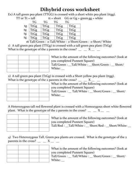 Dihybrid Cross Worksheet Genetics Practice