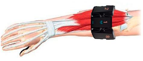 A Novel Surface Electromyographic Signal Based Hand Gesture Prediction Using A Recurrent Neural