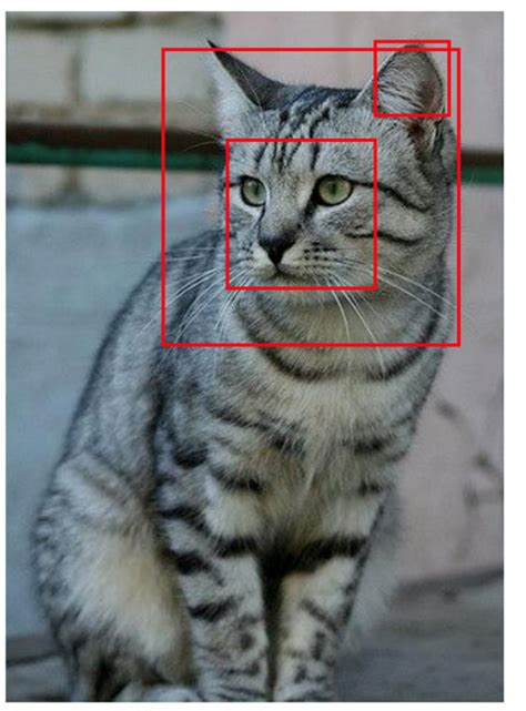 Metacodedeep Learning Computer Vision Basic Cnn Structure