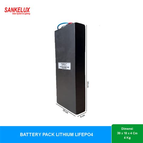 Jual BATTERY PACK LITHIUM LiFePO4 20 Ah 12 V Biru Kota Tangerang Selatan Surya Power