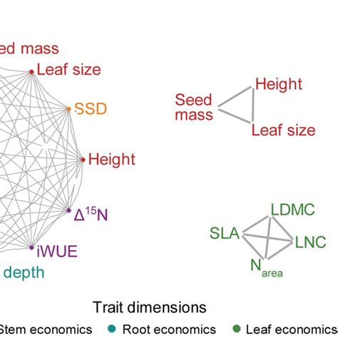 Pdf Trait Integration And Functional Differentiation Among Co Existing Plant Species